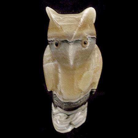 Onyx Bird, Horned Owl by Sherdine Tsalabutie-Tsatte – Sunshine Studio
