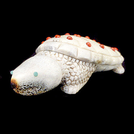 Antler Turtle by Troy Sice – Sunshine Studio