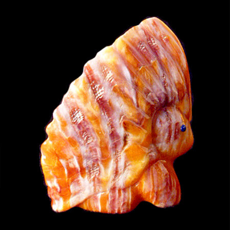 Orange Spiny Oyster Shell Porcupine by Troy Sice – Sunshine Studio