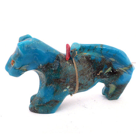 Turquoise Mountain Lion by Jimmy Yawakia – Sunshine Studio