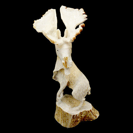 Antler Moose by Pernell Laate, Deceased – Sunshine Studio